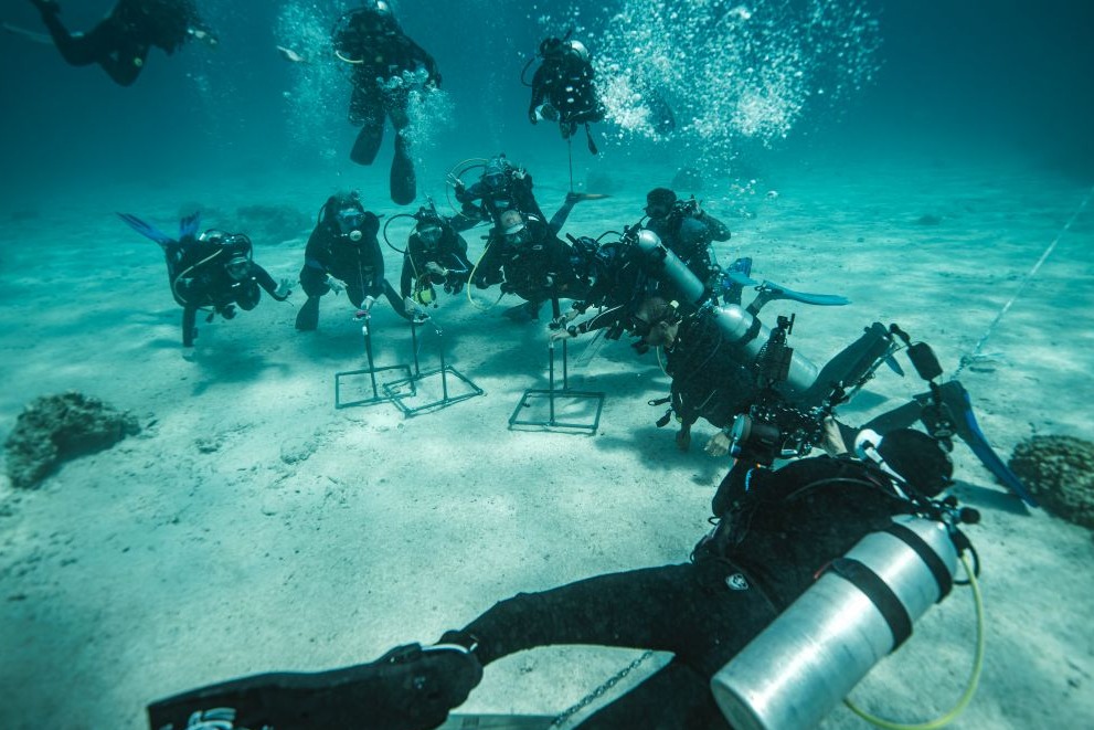 Dive master course | Seaoman