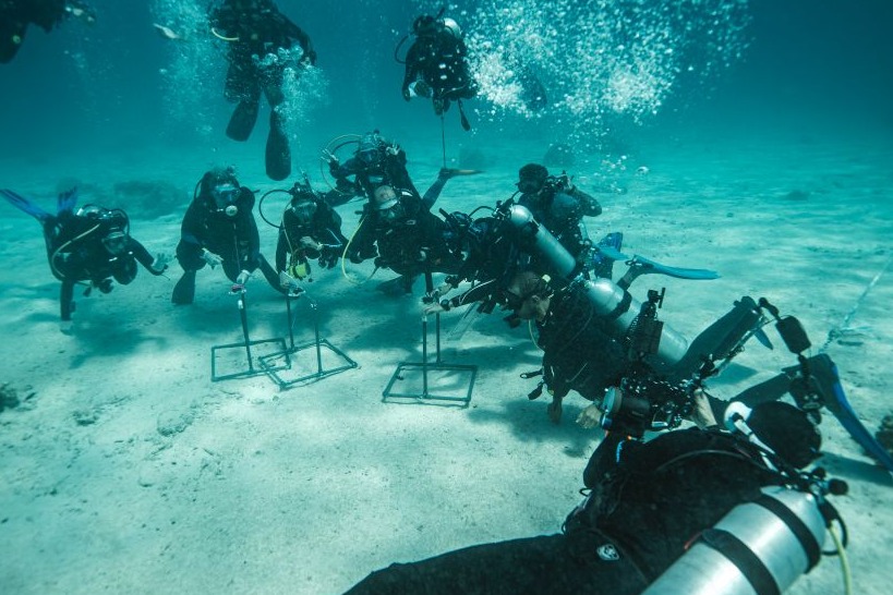 Marine diving survey | Seaoman